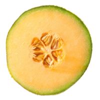 Melons