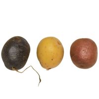 Potatoes - Page 1 of 2