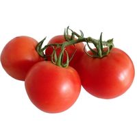 Tomatoes - Page 1 of 2
